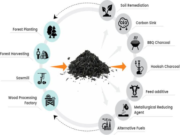 What is the value of Biochar? - WEIWA MACHINERY